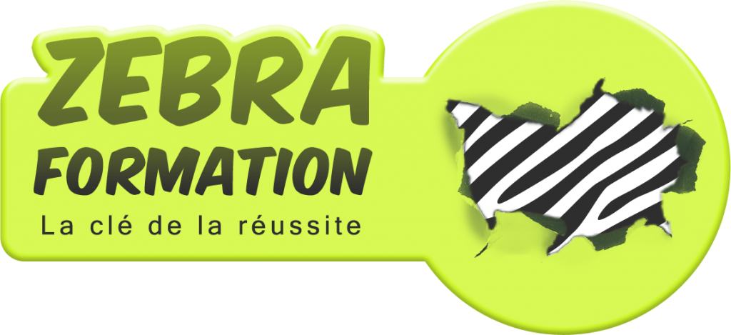 Accueil - Zebra Formation